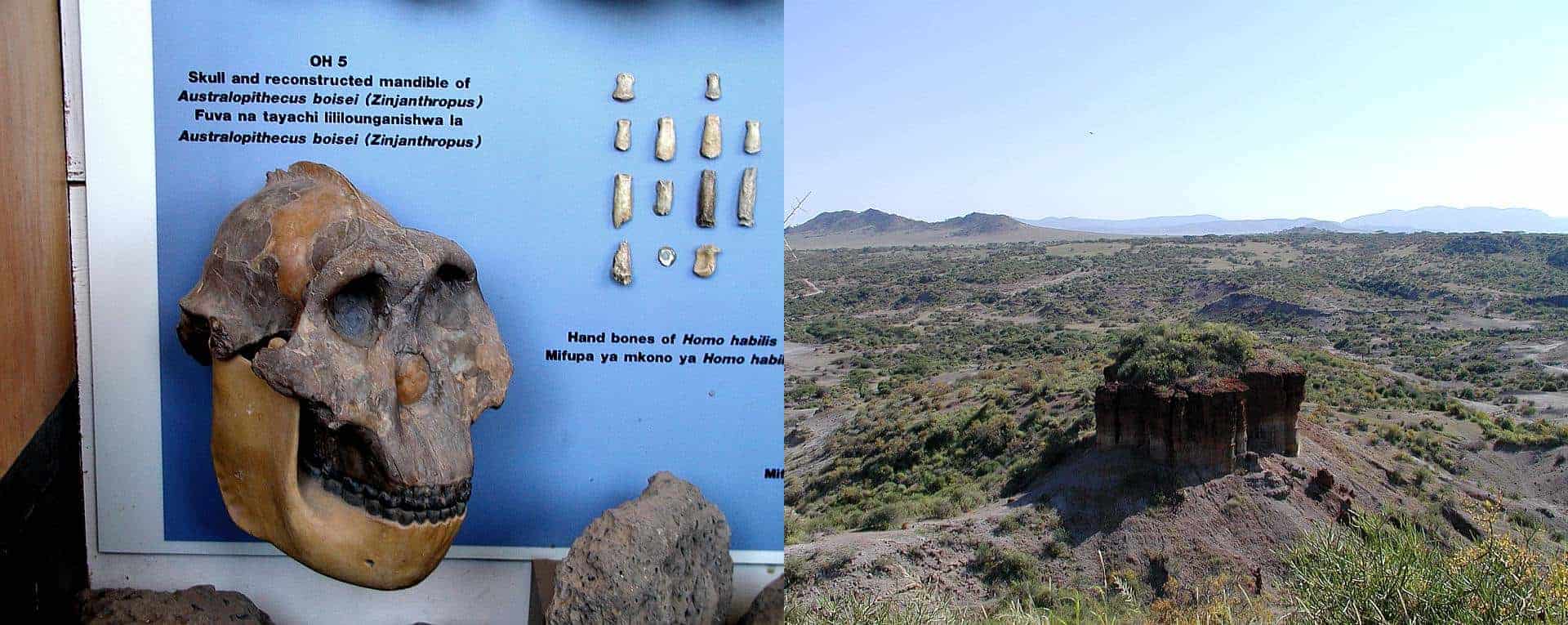 Olduvai Gorge Museum - Pumbaa Africa Expeditions